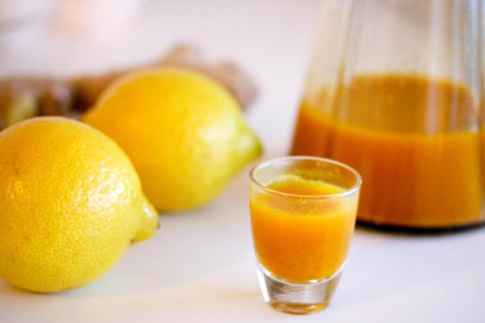 Engifer-, túrmerik og sítrónuskot - GulurRauðurGrænn&Salt